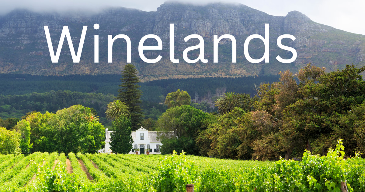 Full Day Private Winelands Tour | GetYourGuide