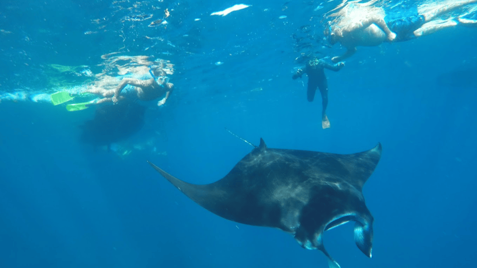 Nusa Penida: Snorkeling 3 Spots with Manta Options | GetYourGuide