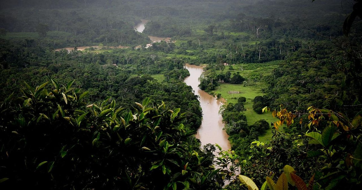 Manu National Park 3 Days | GetYourGuide