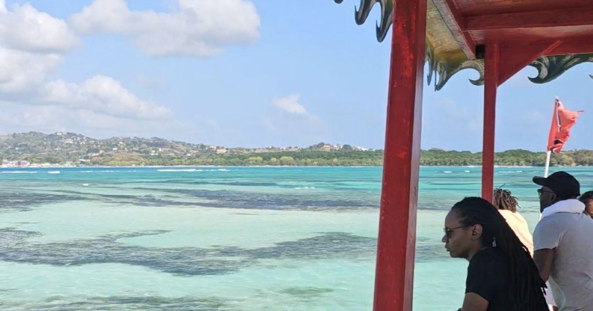 Tobago: Tour zur Karibikküste mit Abholung vom Hotel | GetYourGuide