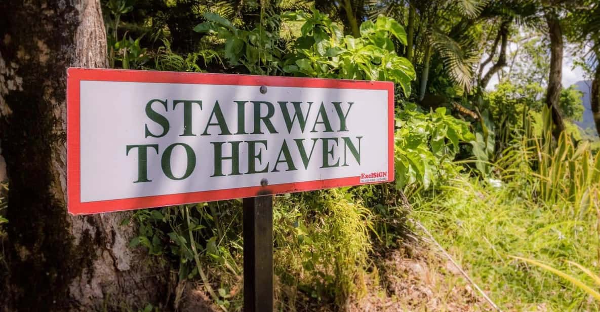 Saint Lucia: Private Tet Paul Nature Trail & Waterfall Tour | GetYourGuide