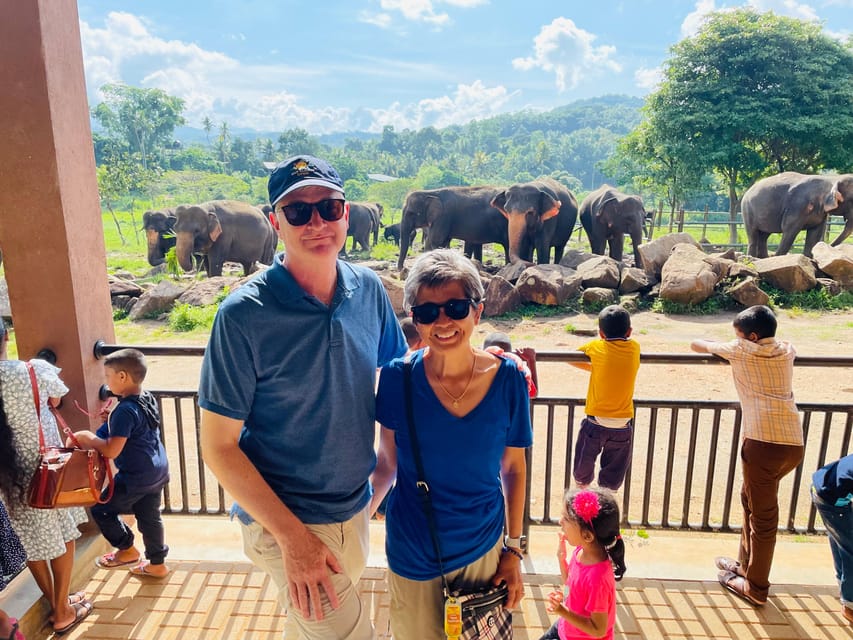 Από το λιμάνι του Κολόμπο : Εκδρομές στη στεριά Pinnawala | GetYourGuide