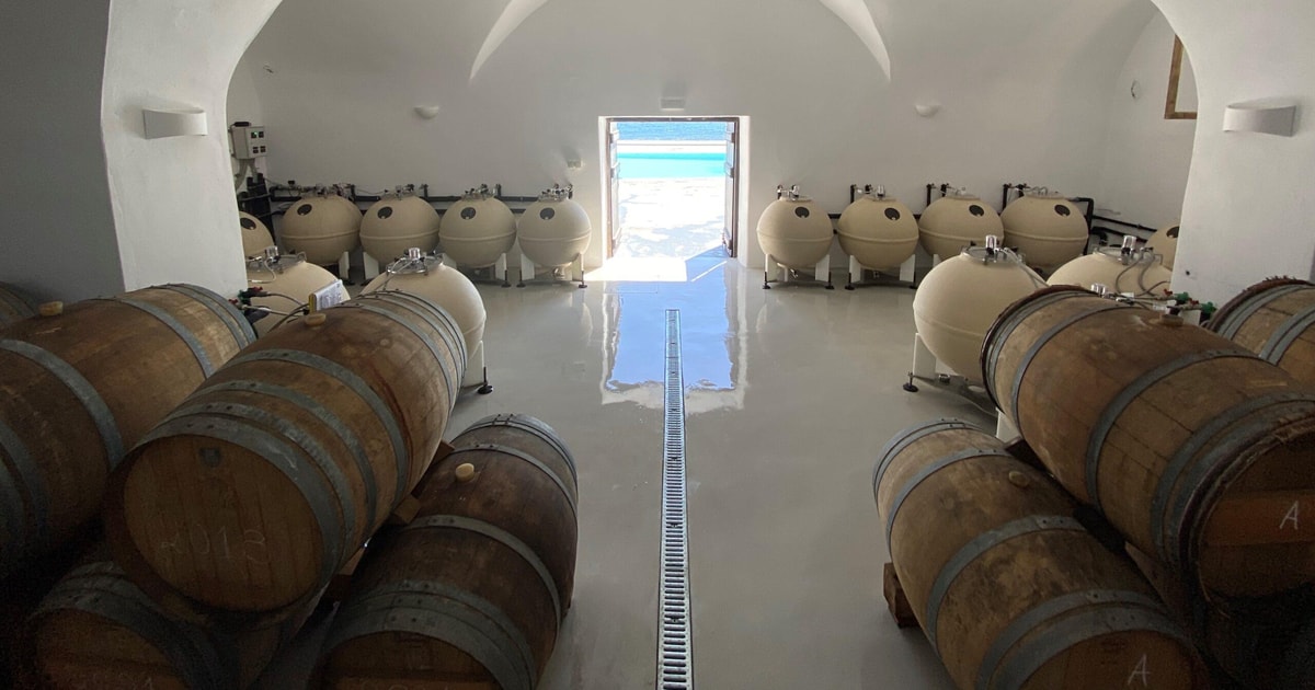 Experiencia privada del vino en Santorini: 3 bodegas y aperitivos ...