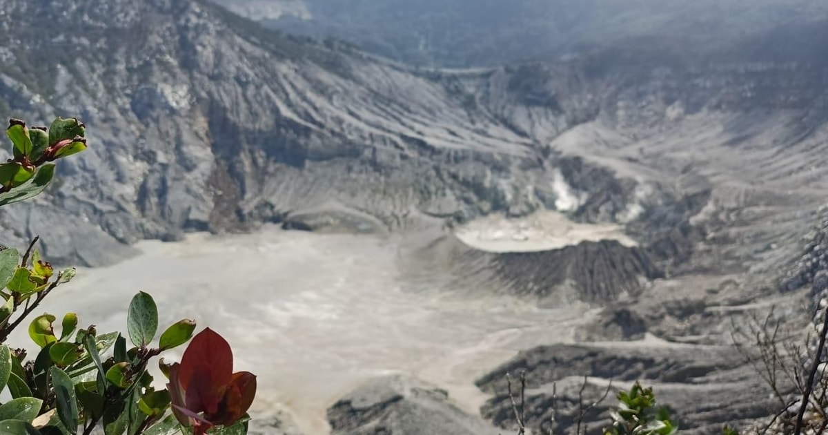 Bandung: Volcano and Crater Tour with Local Guide | GetYourGuide