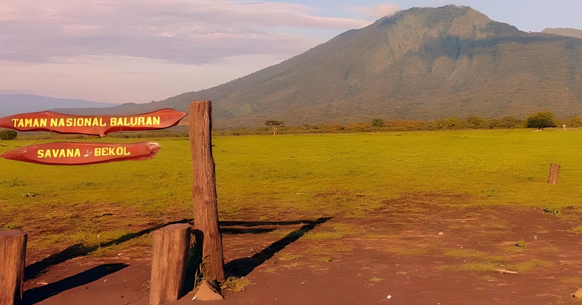 The Authentic Sunset Of Baluran National Park Banyuwangi | GetYourGuide
