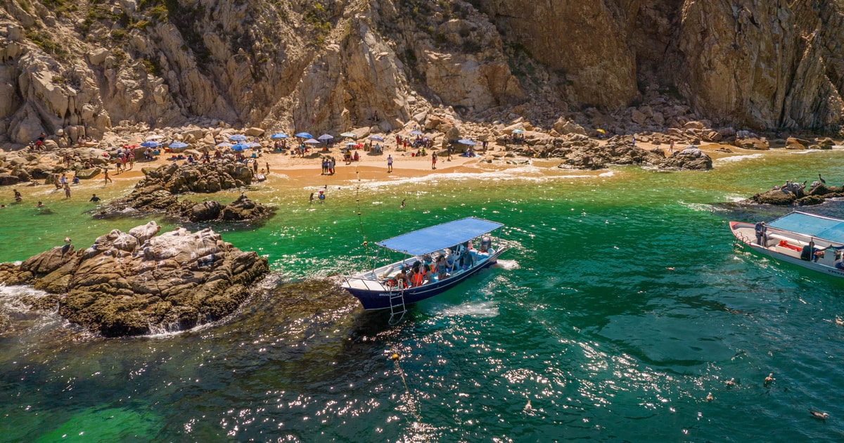 Los Cabos: Snorkel and Marine Life | GetYourGuide