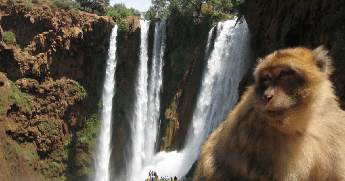 From Marrakech: Ouzoud Waterfall day trip | GetYourGuide