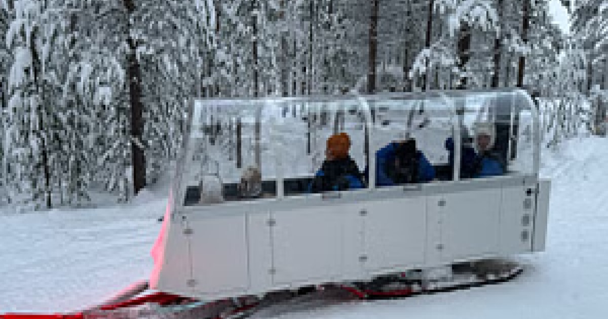 INARI : Northern Lights Safari with Heated Snowmobile Sleigh | GetYourGuide