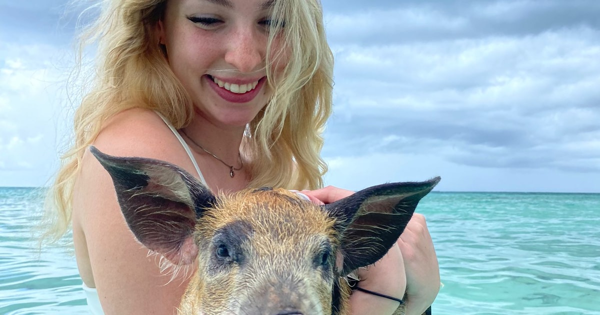 Tour de l'île Rose 3 îles Lux (4h) | GetYourGuide