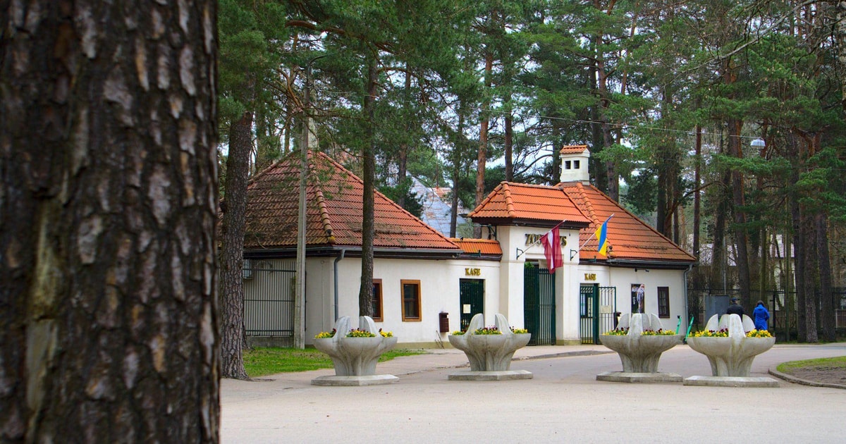 Riga: Fotospeurtocht in Mezaparks | GetYourGuide