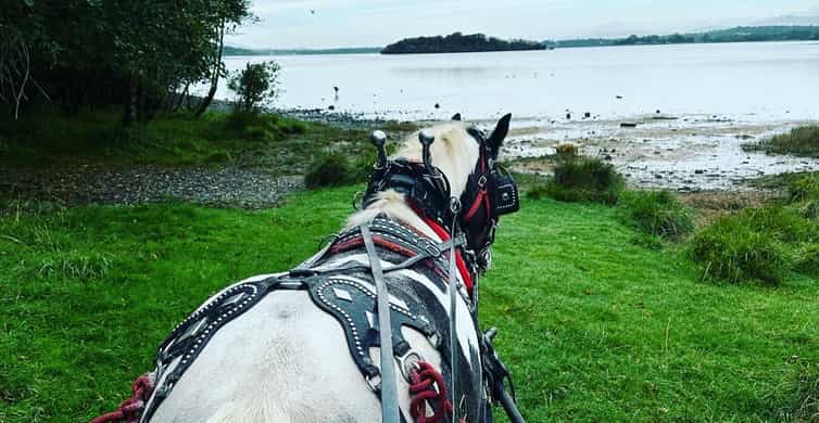 Killarney Jaunting Car Tour | GetYourGuide