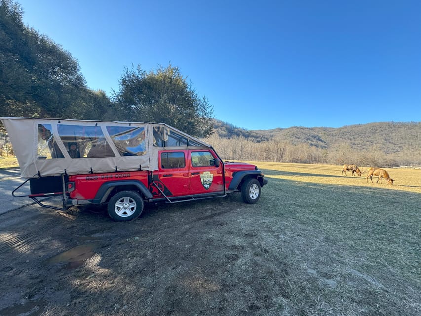 4 HR. Guided Safari Jeep Eco, ELK Wilderness Adventure | GetYourGuide