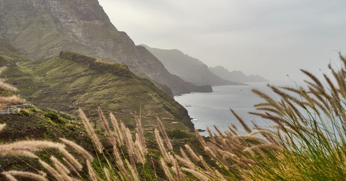 4 Küsten von Gran Canaria mit dem Minibus: Agaete, Mogán, Las Palmas ...