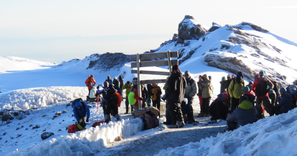 Pendakian Gunung Kilimanjaro 8 hari - Rute Lemosho | GetYourGuide