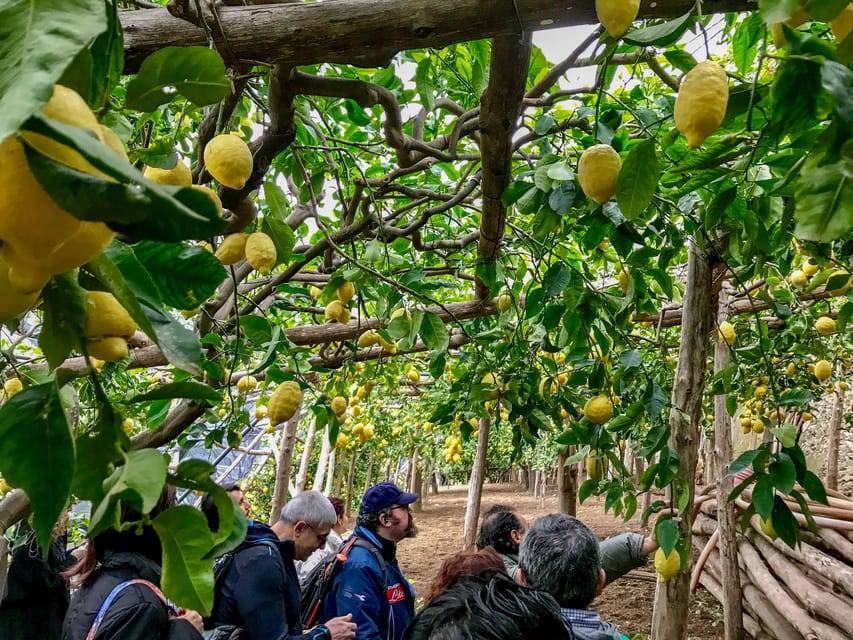 Amalfi Coast Path of the Lemon private walking tour | GetYourGuide