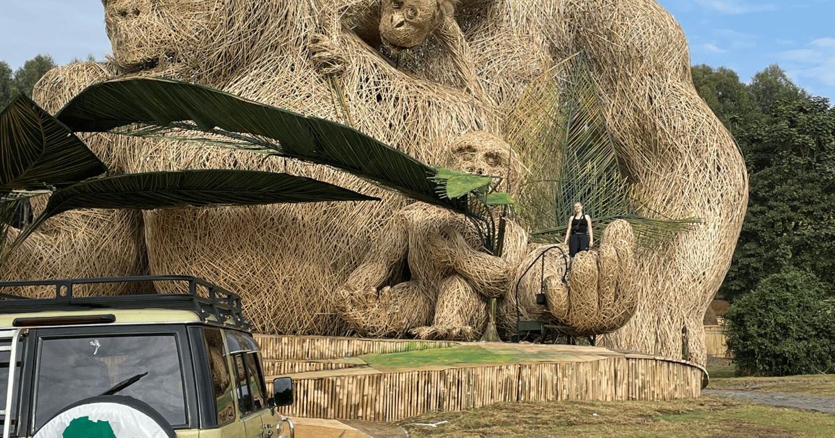 Excursión de 1 día a los gorilas de Ruanda | GetYourGuide