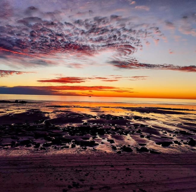 Camel ride on Achakar beach, panoramic sunset and dinner | GetYourGuide