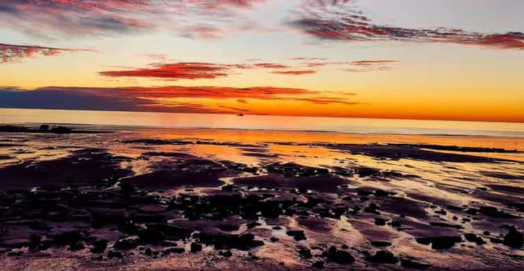 Camel ride on Achakar beach, panoramic sunset and dinner | GetYourGuide