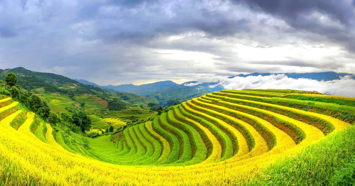 From Hanoi: Trekking To Admire Terraced Fields For 2 Days | GetYourGuide