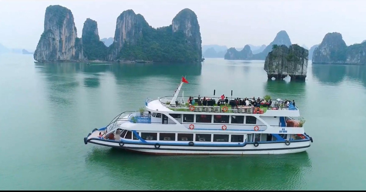 Halong Bay Day Trip 5 Stars Luxury Cruise with Buffet Lunch | GetYourGuide