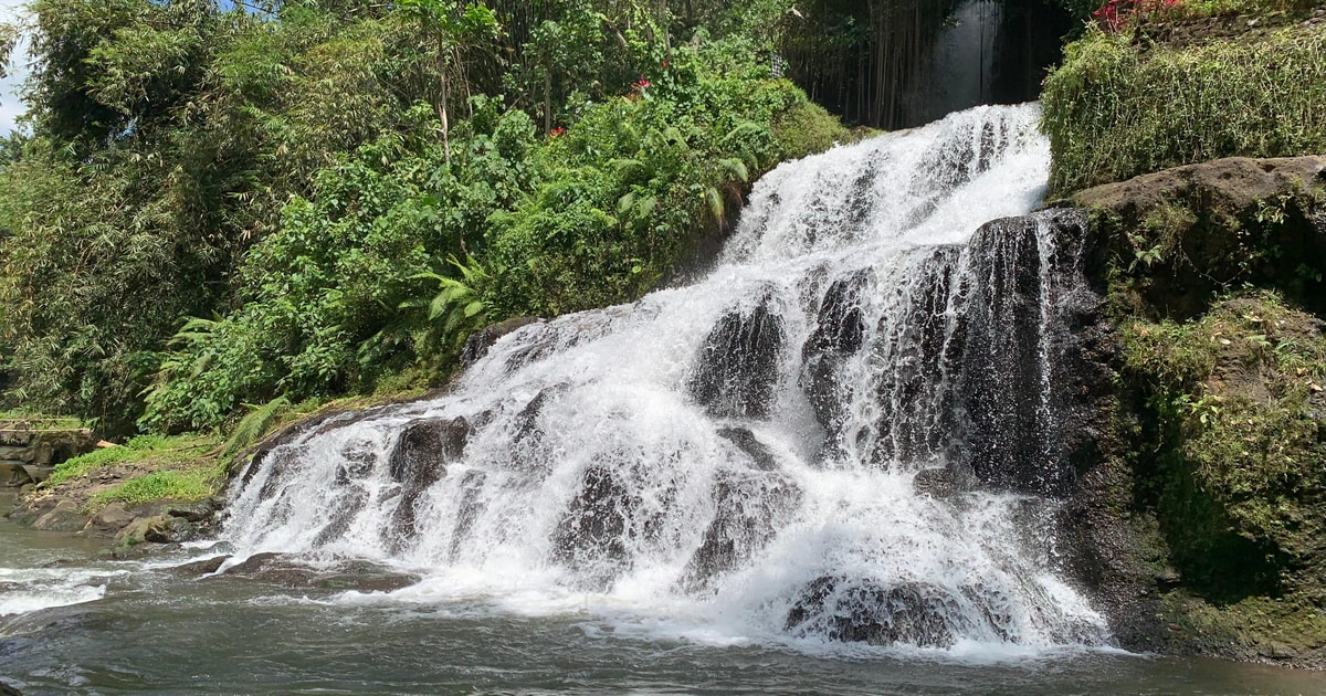 Bali: Uma Anyar Waterfall, Goa Gajah Temple & Rice Terrace | GetYourGuide