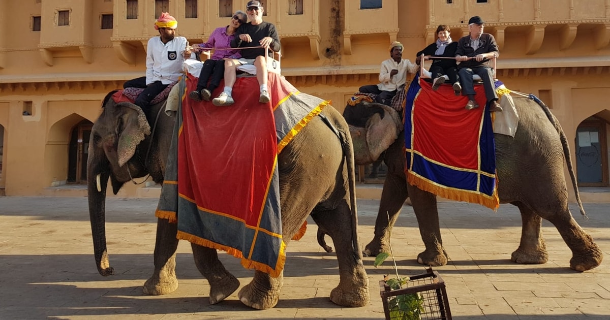 Jaipur: Full-day City Tour with Tour Guide | Private Tour | GetYourGuide