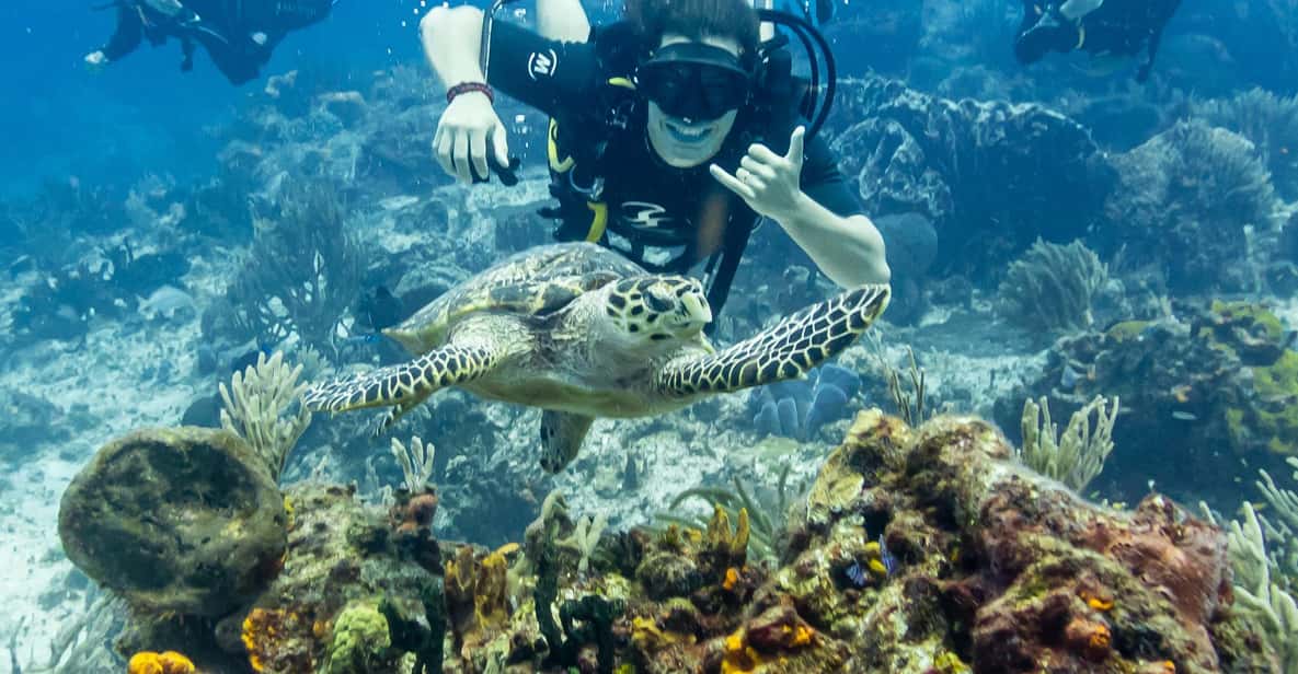 2 Tank Dive in Cozumel’s Marine National Park | GetYourGuide
