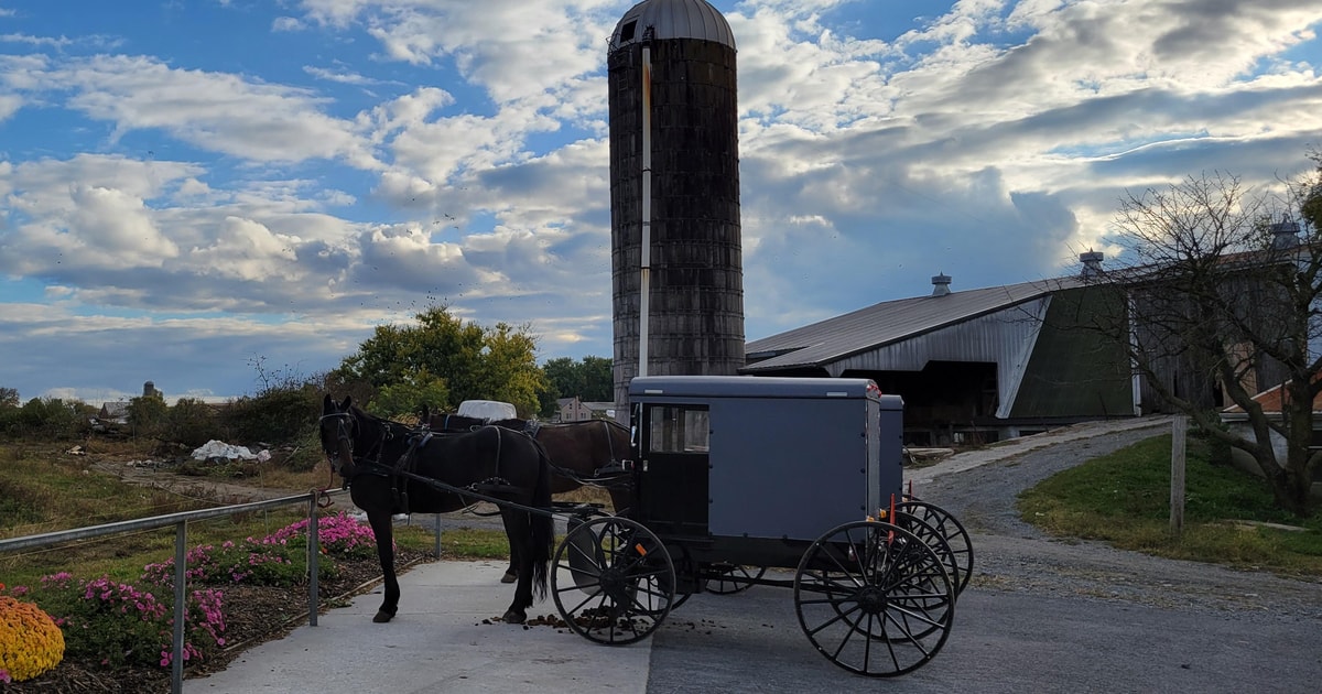 Lancaster: Authentieke tour door het centrum en Amish Country ...