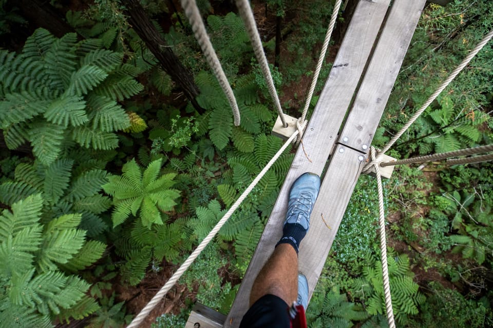 Rotorua: Redwoods Altitude High Ropes Adventure | GetYourGuide