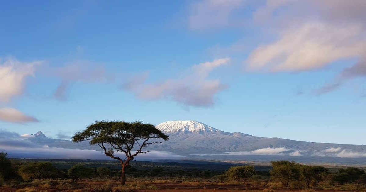 Parco Nazionale del Kilimangiaro - Altopiano di Shira, escursione di un ...