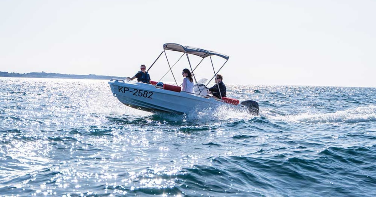 Rab: Roto 450 S Family Boat Rental | GetYourGuide
