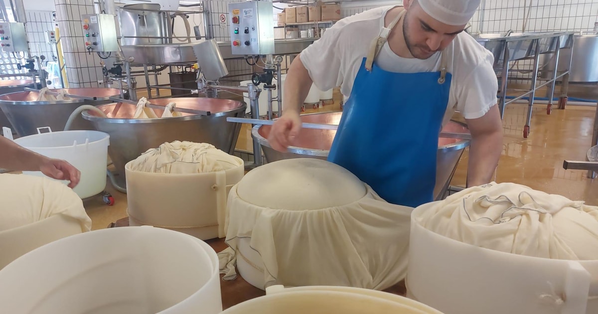 PARMIGIANO DOP DAIRY FARM VISIT AND TASTING NEAR BOLOGNA | GetYourGuide