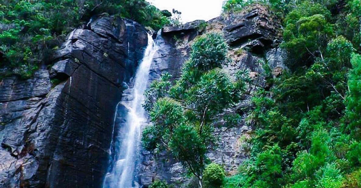 Vanuit Ella: 2-daagse tour naar Nuwara Eliya en Kandy met Drop ...