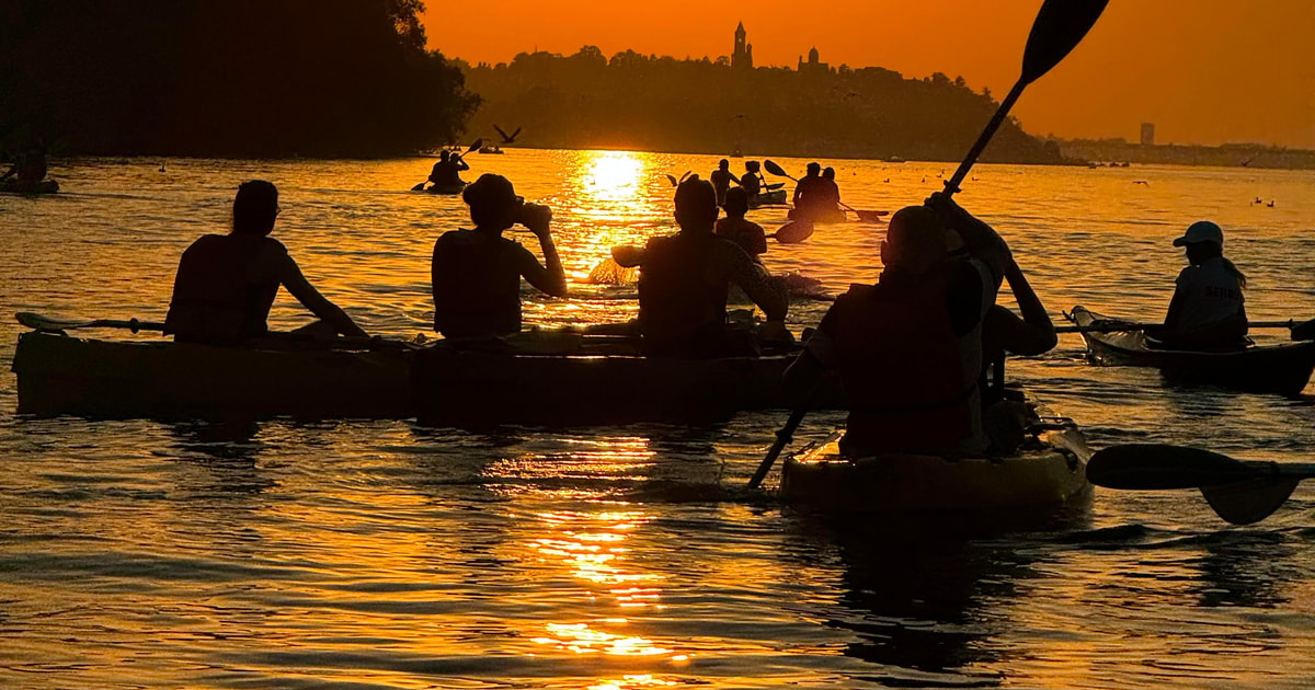 Beograd: Kajak-tur ved solnedgang | GetYourGuide