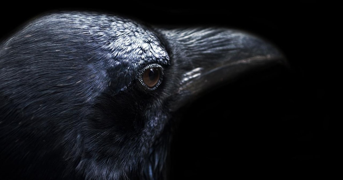 The mystery of definitiveness | GetYourGuide