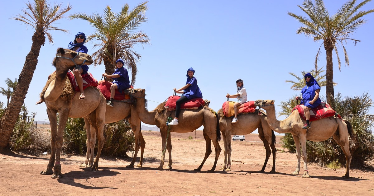 Marrakech: giro in cammello nel deserto di Rehamna con tè marocchino ...
