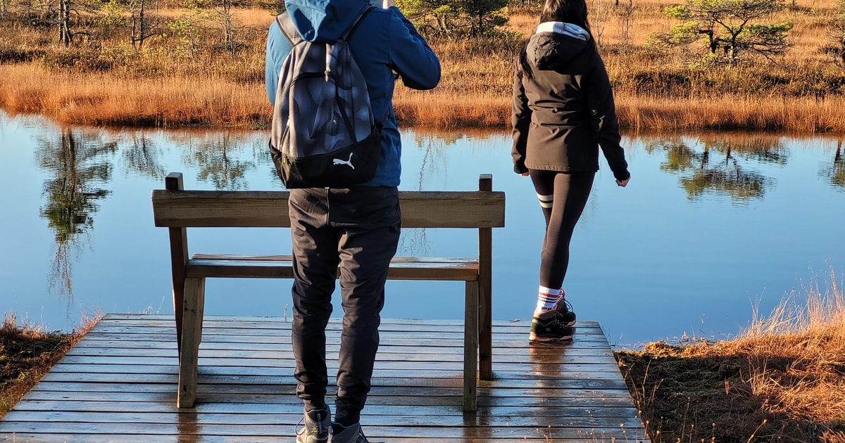 Great Ķemeri Bog & Swamp Forest Hiking Adventure | GetYourGuide