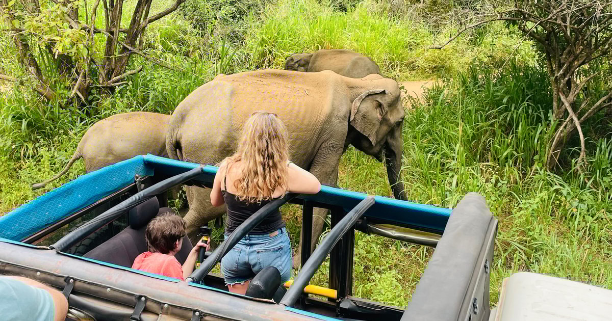 Сафари в национальном парке Миннерия на джипе Golden Hours 4x4 | GetYourGuide