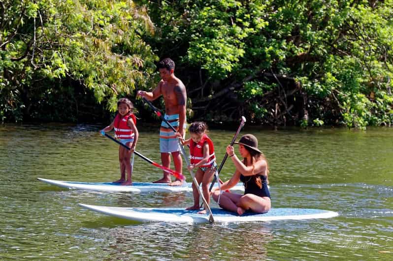 North Shore's best day! River, Turtles, Farm with Lunch | GetYourGuide