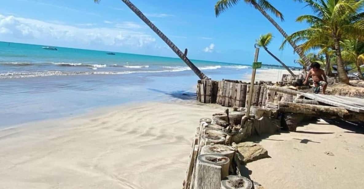 Maceió: Excursión a la Playa de Ipioca (Hibiscus Beach Club) | GetYourGuide