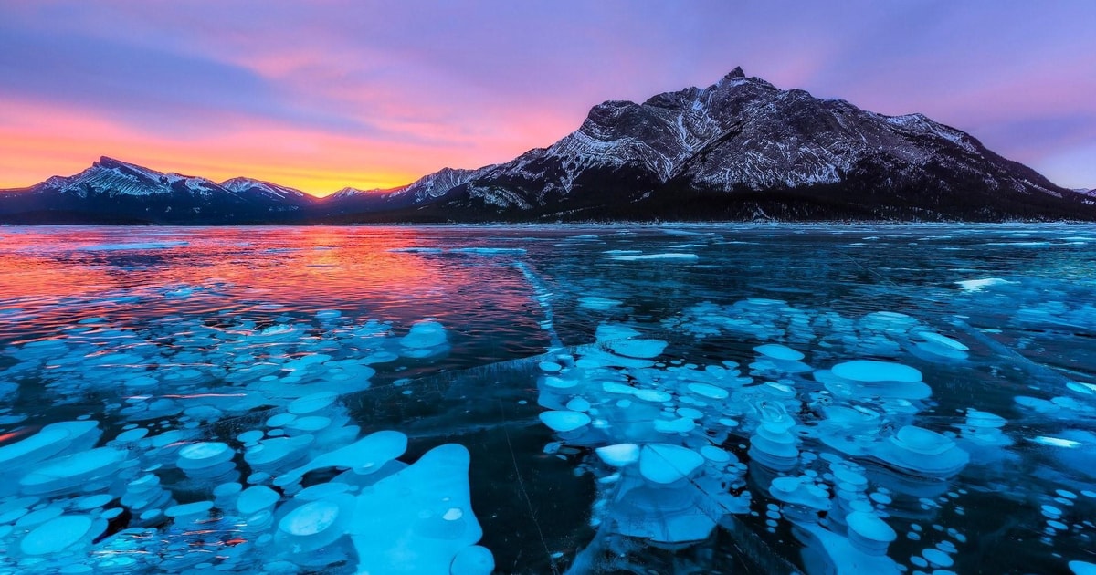 Winter Tour FromCalgary Peyto Lake&IceBubble at Abraham Lake | GetYourGuide