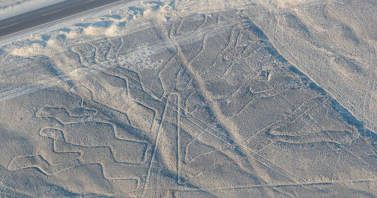 Nazca: Vuelo sobre las Líneas de Nazca | GetYourGuide