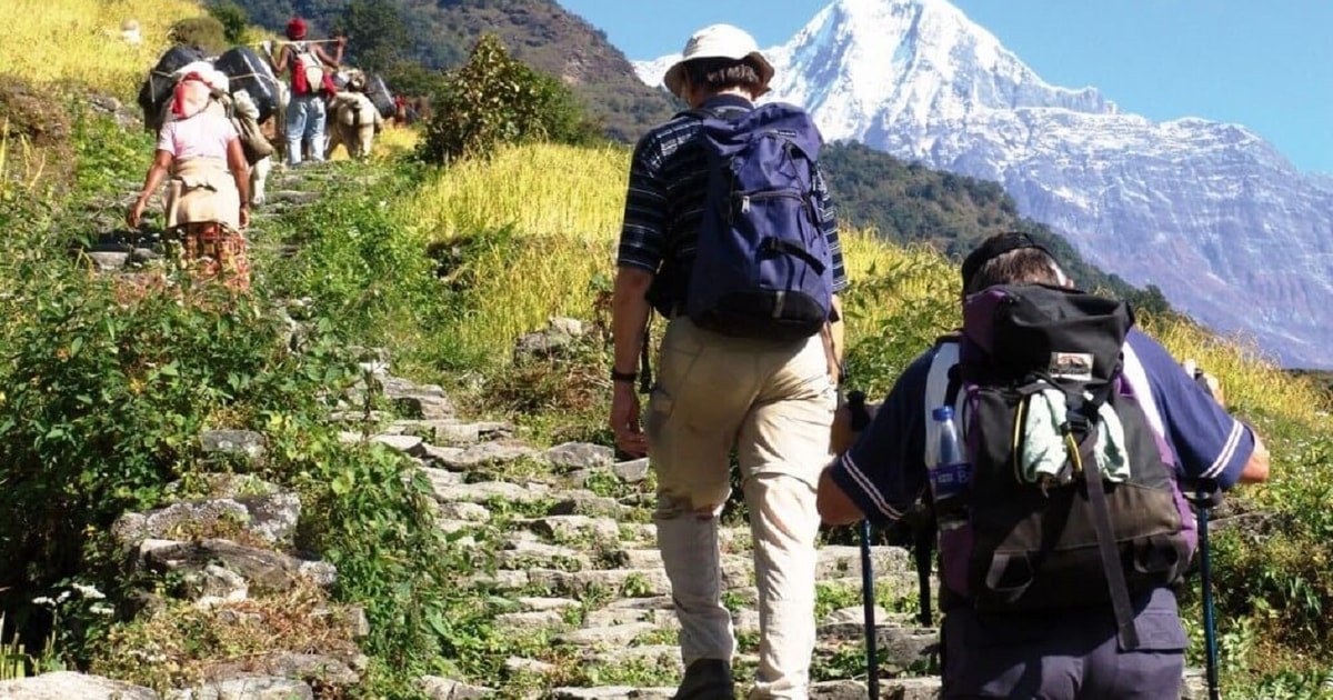 Pokhara: Guided Day Hike to Australian Base Camp | GetYourGuide
