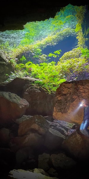 Waitomo: Guided Eco-Cave Tour | GetYourGuide