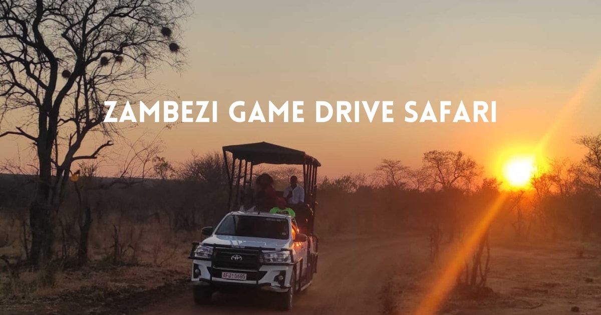 Victoria Falls: Zambezi Game Drive Safari | GetYourGuide