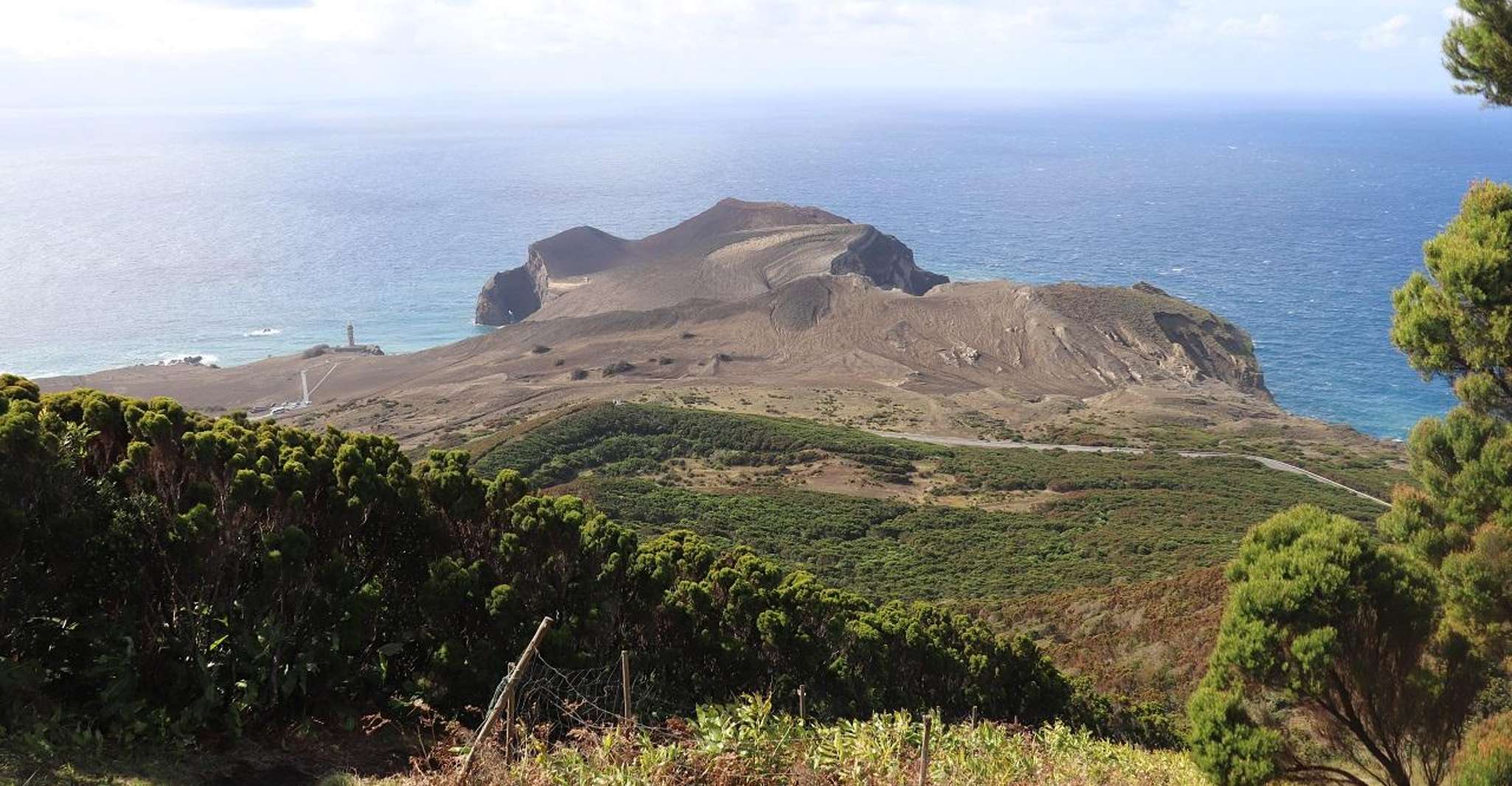 Half Day Faial Island Tour, Local Biologist Guide | Guided Tour in Cedros