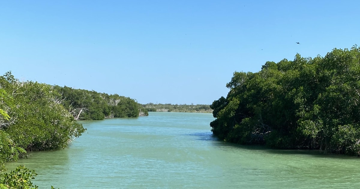 Flamingo Deluxe Rio Lagartos and Las Coloradas | GetYourGuide