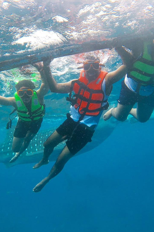 Cebu: Oslob Whaleshark & Sumilon Island Hopping Day Tour | GetYourGuide