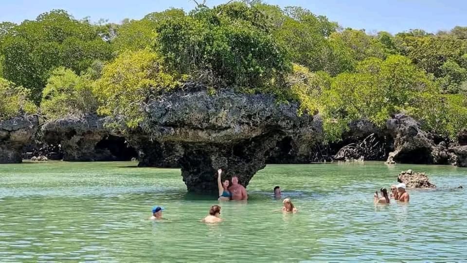 Blue Lagoon, Kwale Island, Starfish Tour, Snorkeling Tour | GetYourGuide