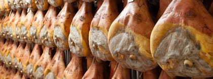 Parma: Parmigiano Production and Parma Ham Tour & Tasting | GetYourGuide